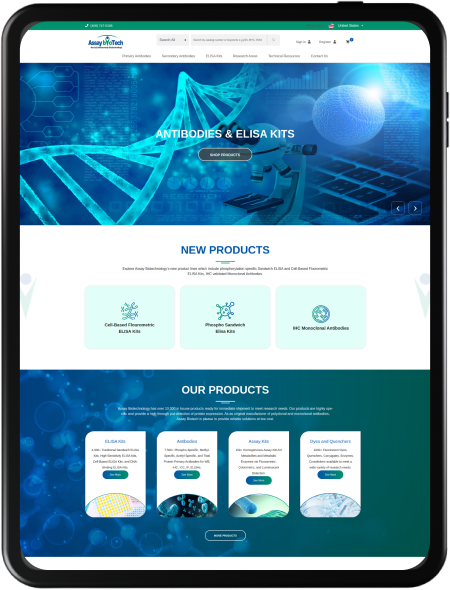 Software and mobile app development company - ToXSL Technologies